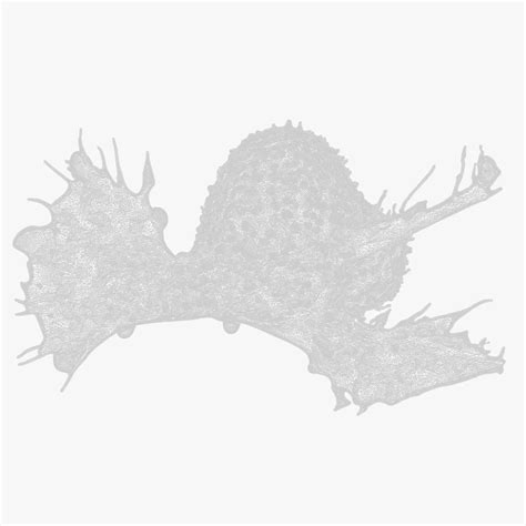 Cancer Cell Tumor Flippednormals