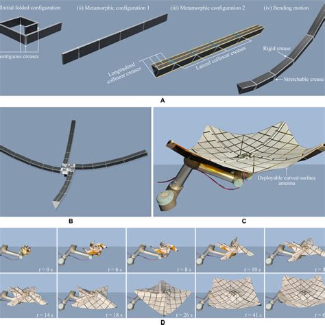 The Circumferential Deployable Metamorphic Origami For Supporting A Download Scientific Diagram