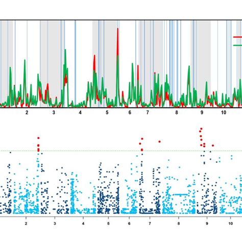 Nucleotide Diversity And Population Differentiation A Patterns Of