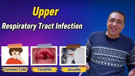 Chest 01 Ll Upper Rti Ll Common Cold And Sinusitis And Pharyngitis