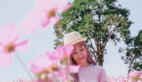 รวมรูปภาพของ ทุ่งดอกคอสมอสสีชมพูบนยอดเขา ความงดงามแห่งไร่รักษาวิว 360 องศา เชียงใหม่ รูปที่ 1 จาก 7