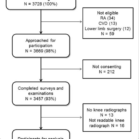 Gaoyou Symptomatic Knee Osteoarthritis Study Flow Chart Ra