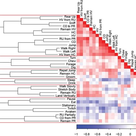 Correlation Matrix Based Hierarchical Clustering Of Activities Of ASC