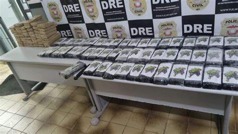 Polícia Civil apreende tabletes de cocaína transportados em caminhão de carga