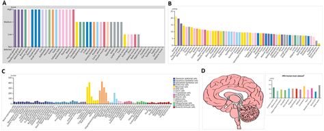 Nf1 Expression In Human Tissues A Nf1 Protein Expression In Different