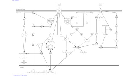 Ngf Signaling Geneglobe