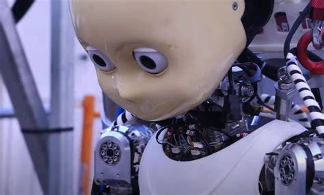 Ironcub3 The Flying Jet Powered Humanoid Robot External Links