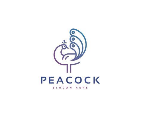Minimal Peacock Logo 12464679 Vector Art At Vecteezy