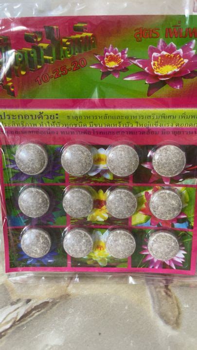 Lotus Water Lily Fertilizer 12tablets 莲花 肥料 Lazada
