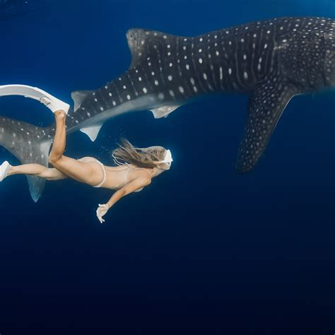 단독투어 보홀 고래상어 And 히낙다난동굴 투어