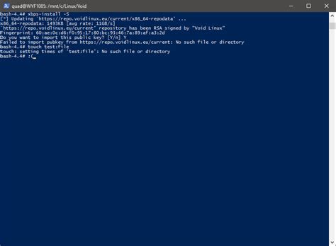 Bug Not Being Able To Use In Filenames Causes Issues · Issue 2952 · Microsoftwsl · Github