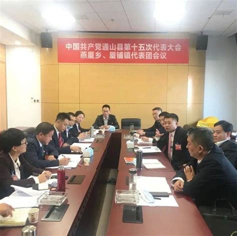 【聚焦党代会】刘子恒参加各代表团分组讨论发展