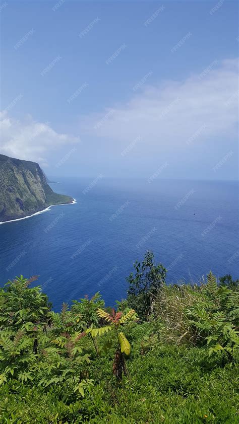 Premium Photo In Honokaa