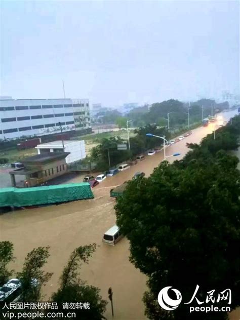 广西柳州遭遇强降雨 多条道路积水轿车被淹 图片频道 人民网