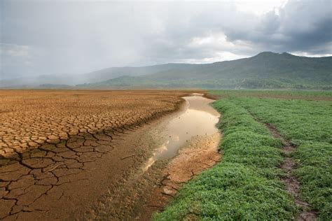 O Protagonismo Do Mercado De Seguros Diante Das Mudanças Climáticas