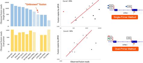 Gene Fusion What Is Gene Fusion Fusion Detection Updated