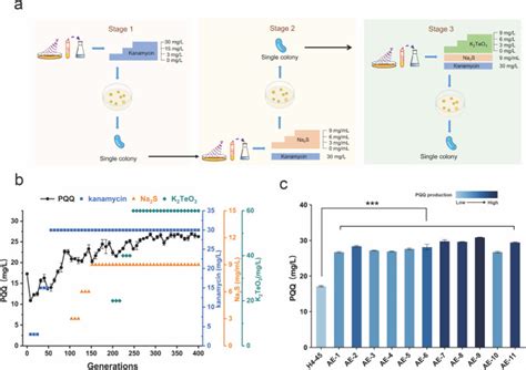 Oxidative Stress Resistance Prompts Pyrroloquinoline Quinone