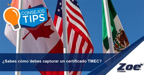 ¿sabes Cómo Debes Capturar Un Certificado Tmec Zoé It Customs
