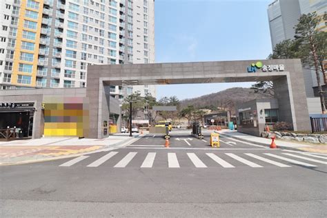 Daum 카페