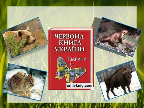 Тварини та рослини Червоної книги України презентация онлайн