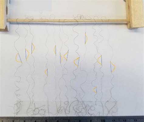 figure s2 methodology for measuring pitch and contour length hair