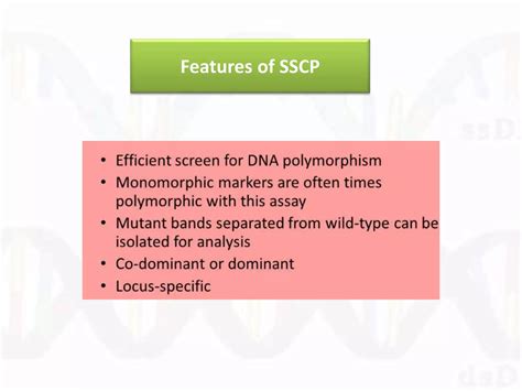 Single Strand Conformation Polymorphism Pptx