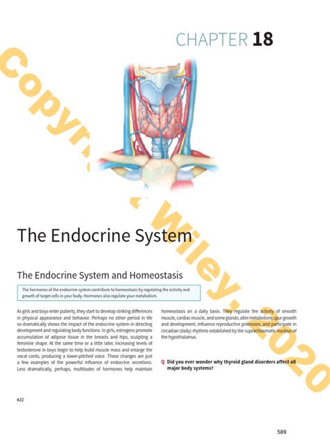 Chp 18 Pdf Hormone Endocrine System