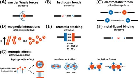 Figure 2 From Chitosanpolyγ Glutamic Acid Polyelectrolyte Complexes From Self Assembly To