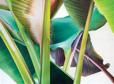 Adele Renault — Area Environments