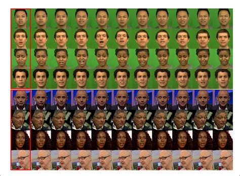 Temporally Coherent Human Video Deepfakes Via Diffusion Metaphysic Ai