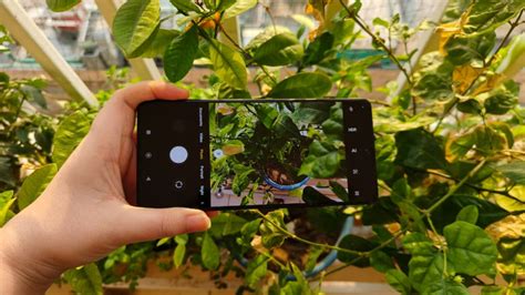Poco F5 conheça o novo celular da Xiaomi