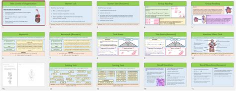 Levels Of Organisation ~ Ks3 ~ Year 7 Teaching Resources