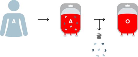 Avivo Developing Universal Donor Blood Type To Expand Transplants