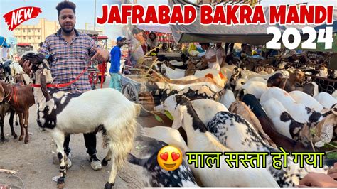 Jafrabad Bakra Mandi 🐐 Delhi Ki Sabse Saste Bakre 😍🐐 Youtube