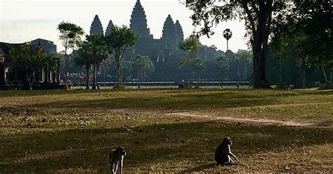 Greetings From Kambodia Instead Of Selfies Temples Are Coming Album On Imgur
