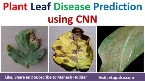 Plant Leaf Disease Detection Project Source Code