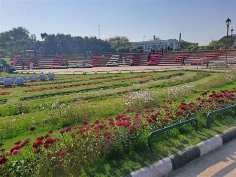 Colorful Spring Flowers At Central Park Connaught Place New Delhi