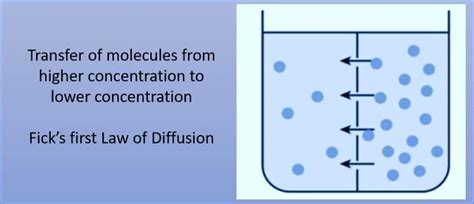 Ficks First Law Of Diffusion Calculator Molecular Diffusion
