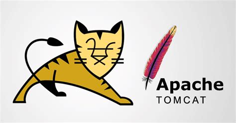 Tomcat Hafİf Bİlgİler