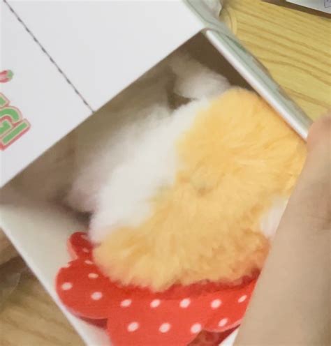 잡담 인증가능 타팬인데 터래기 이게 맞아 인스티즈instiz 연예 카테고리