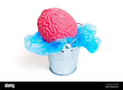 Human Brain Replica Placed Inside A Tiny Trash Bin Isolated On White Background Creative