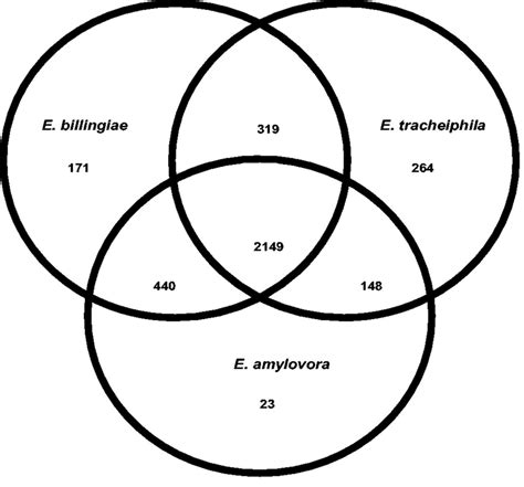 Gene Content Comparison Of The Genomes Of The Plant Commensal E Download Scientific Diagram
