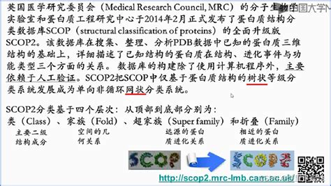 【生信mooc】生信数据库2cath数据库 Csdn博客