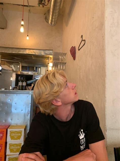 Adrien Agreste Aesthetic Miraculous Ladybug Blonde Hair Boy Blonde