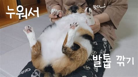 누워서 떡 먹기 아니고 발톱 깎기 Youtube