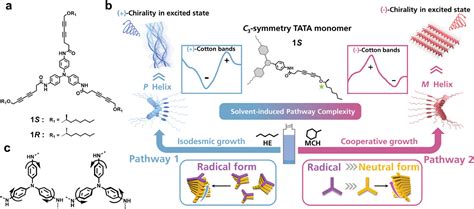 Revealing Pathway Complexity And Helical Inversion In Supramolecular Assemblies Through Solvent