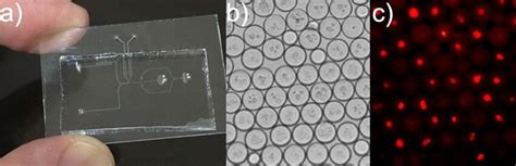 A Design Of Microfluidic Devices B Bright Field Image Of Droplet