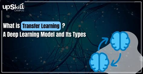 What Is Transfer Learning A Deep Learning Model And Its Types