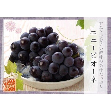 ニューピオーネ 家庭用 訳あり 約2kg 3〜5房 岡山県産 フルーツ 葡萄 ぶどう 9月上旬頃より発送 Pione004 水琴果楼