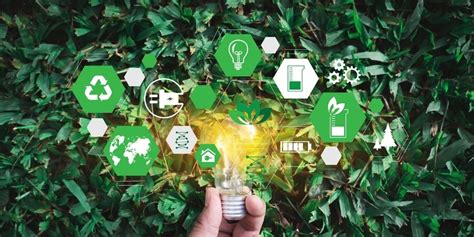 16 Reasons Why Sustainable Living Matters Theroundup